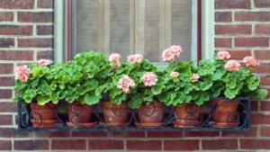 Window Planters with Beautiful Flowers Add European Charm to Exterior ...