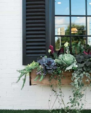 Window Planters with Beautiful Flowers Add European Charm to Exterior ...