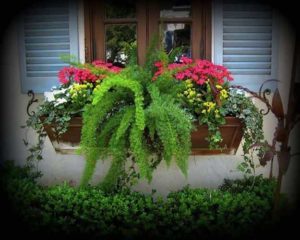 Window Planters with Beautiful Flowers Add European Charm to Exterior ...