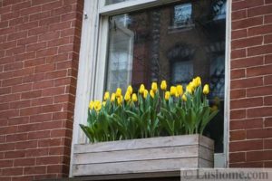 Window Planters with Beautiful Flowers Add European Charm to Exterior ...