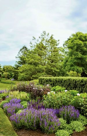 How to Keep Beautiful Gardens Neat, 55 Landscaping Ideas to Inspire