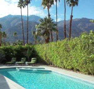 50 Yard Landscaping and Summer Decorating Ideas to Turn Your Pool Area ...