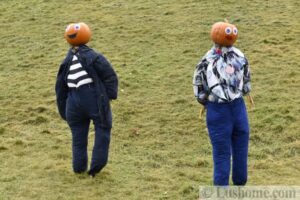 Playful Pumpkin People and Animals, Fall Decorating Ideas, DIY Yard ...