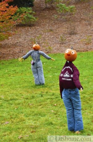 Playful Pumpkin People and Animals, Fall Decorating Ideas, DIY Yard ...