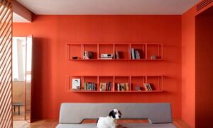 Raspberry Blush Interior Color, Trends in Decorating, Modern Colors 2023