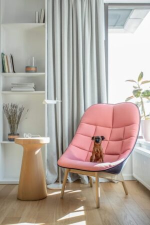 Modern Color Palette, Interior Trends 2023