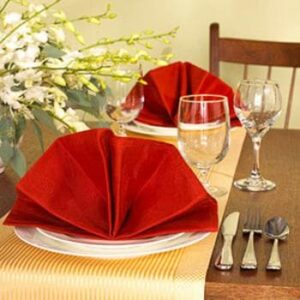 20 Individual Centerpiece Ideas, How to Fold Napkins into Creative ...
