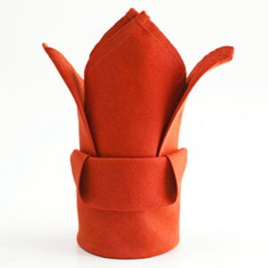 20 Individual Centerpiece Ideas, How to Fold Napkins into Creative ...