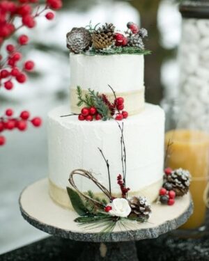 Winter Cake Decoration Ideas, 50 Spectacular Designs