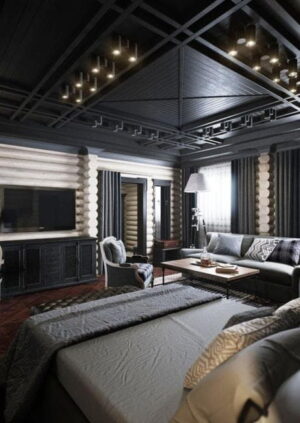 Black Ceiling Designs in Modern Interiors and Outdoor Spaces