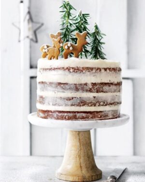 Fabulous Cake Decoration Ideas for Winter Events, 55 Creative Design Ideas