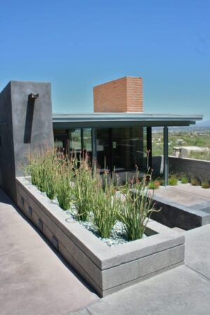 Mid Century Modern Landscape Designs, 55 Yard Landscaping Ideas