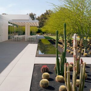 Mid Century Modern Landscape Designs, 55 Yard Landscaping Ideas
