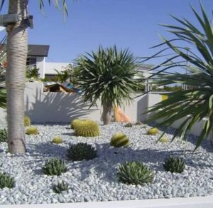 White Rocks in Yard Landscaping, Creative and Contemporary Design Ideas