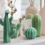 Adding Desert Burst of Fun and Relaxation to Room Decorating with Cacti ...