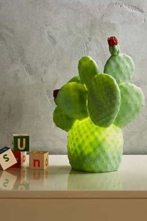 Adding Desert Burst of Fun and Relaxation to Room Decorating with Cacti ...