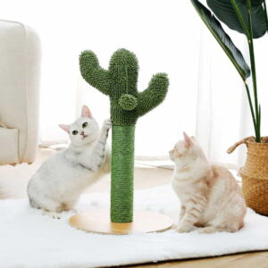 Adding Desert Burst of Fun and Relaxation to Room Decorating with Cacti ...