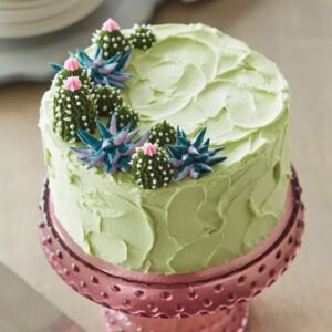 Desert Inspired Cake Decoration Ideas, Beautiful Edible Cacti Designs