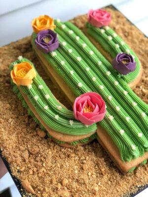Desert Inspired Cake Decoration Ideas, Beautiful Edible Cacti Designs