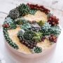 Desert Inspired Cake Decoration Ideas, Beautiful Edible Cacti Designs