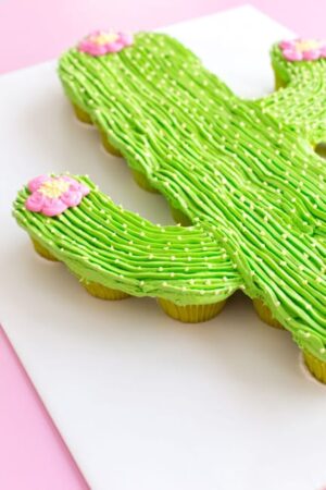 Desert Inspired Cake Decoration Ideas, Beautiful Edible Cacti Designs