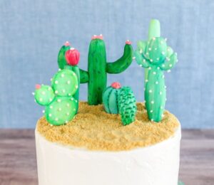 Desert Inspired Cake Decoration Ideas, Beautiful Edible Cacti Designs