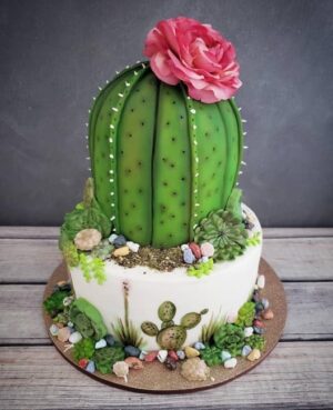 Desert Inspired Cake Decoration Ideas, Beautiful Edible Cacti Designs