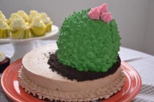 Desert Inspired Cake Decoration Ideas, Beautiful Edible Cacti Designs