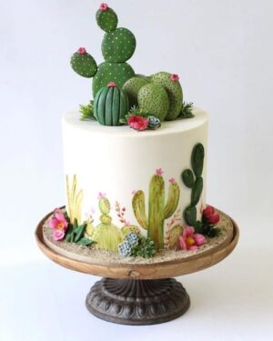 Desert Inspired Cake Decoration Ideas, Beautiful Edible Cacti Designs