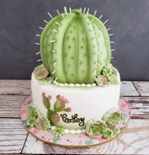 Desert Inspired Cake Decoration Ideas, Beautiful Edible Cacti Designs