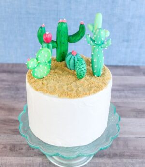 Desert Inspired Cake Decoration Ideas, Beautiful Edible Cacti Designs