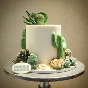 Desert Inspired Cake Decoration Ideas, Beautiful Edible Cacti Designs