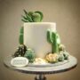 Desert Inspired Cake Decoration Ideas, Beautiful Edible Cacti Designs