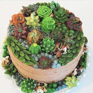 Desert Inspired Cake Decoration Ideas, Beautiful Edible Cacti Designs
