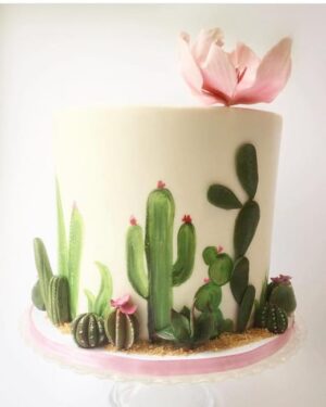 Desert Inspired Cake Decoration Ideas, Beautiful Edible Cacti Designs
