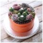 Desert Inspired Cake Decoration Ideas, Beautiful Edible Cacti Designs