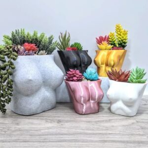 55 Original Planters, Unique Design Ideas that Add Personality to Room ...