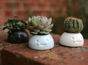 55 Original Planters, Unique Design Ideas that Add Personality to Room ...