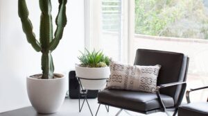 Cacti in Modern Interiors, 55 Ideas for Room Decorating with Desert Plants