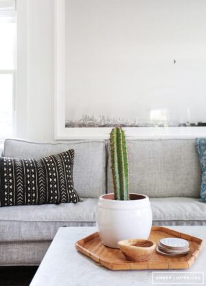 Cacti in Modern Interiors, 55 Ideas for Room Decorating with Desert Plants