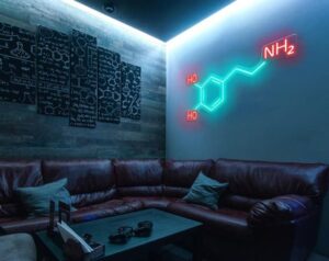 Modern Interior Trends, Dopamine Increasing Room Decorating Ideas