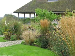 Summer Planning Creates Spectacular Fall Garden Designs and Brightens ...