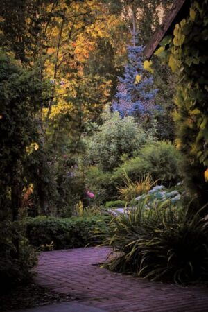 Summer Planning Creates Spectacular Fall Garden Designs and Brightens ...