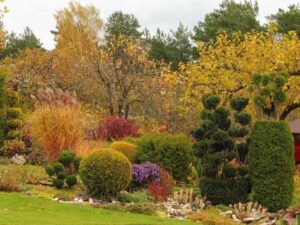 Summer Planning Creates Spectacular Fall Garden Designs and Brightens ...