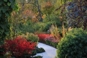Summer Planning Creates Spectacular Fall Garden Designs and Brightens ...