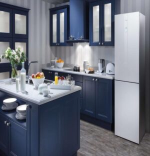 Fridges in Modern Kitchens, How to Choose Functional Kitchen Appliances