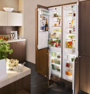 Fridges in Modern Kitchens, How to Choose Functional Kitchen Appliances