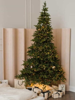 All Green Christmas Tree Decorating, Symbolic and Modern Christmas Ideas