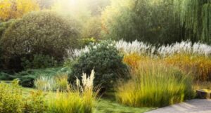Eco Friendly Garden Design Ideas Celebrating Splendid Natural Beauty