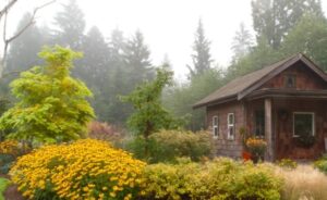 Eco Friendly Garden Design Ideas Celebrating Splendid Natural Beauty